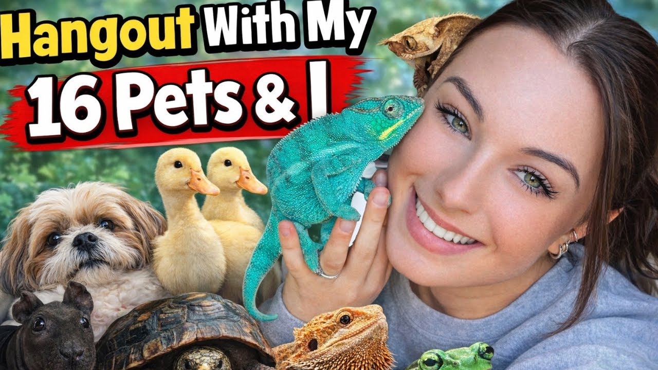 Hanging out with my 16 pets: Meet the new additions