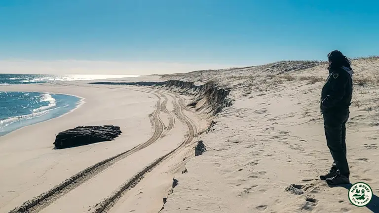 Nearly 140-year-old ship appears after winter storms