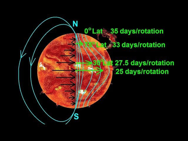 ¿Cuál es el periodo de rotación del Sol sobre su eje? La rotación ...