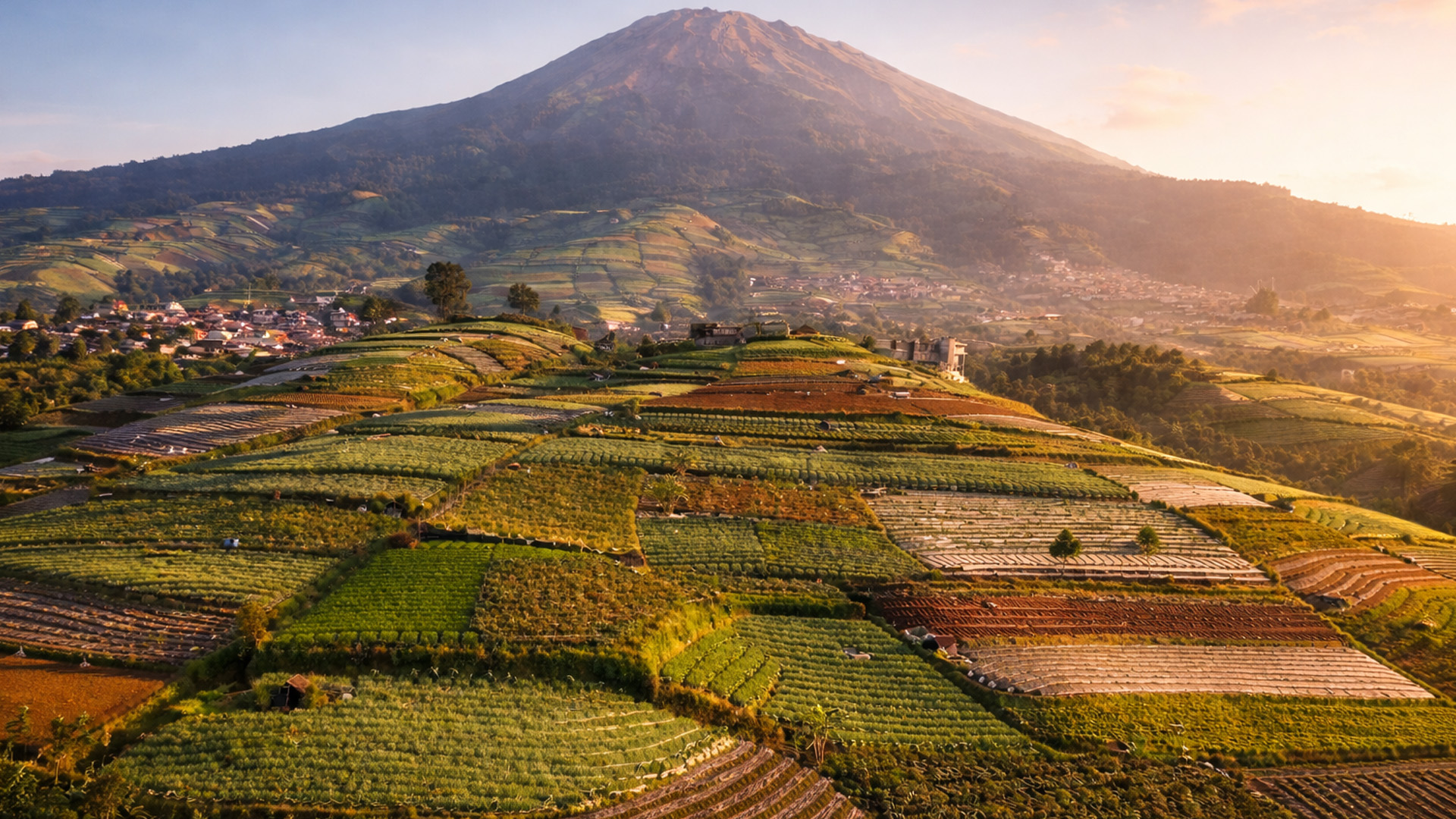 Terraced farms beneath a volcano