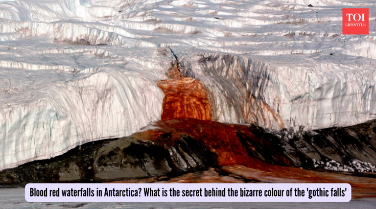 Blood red waterfalls in Antarctica? What is the secret behind the ...