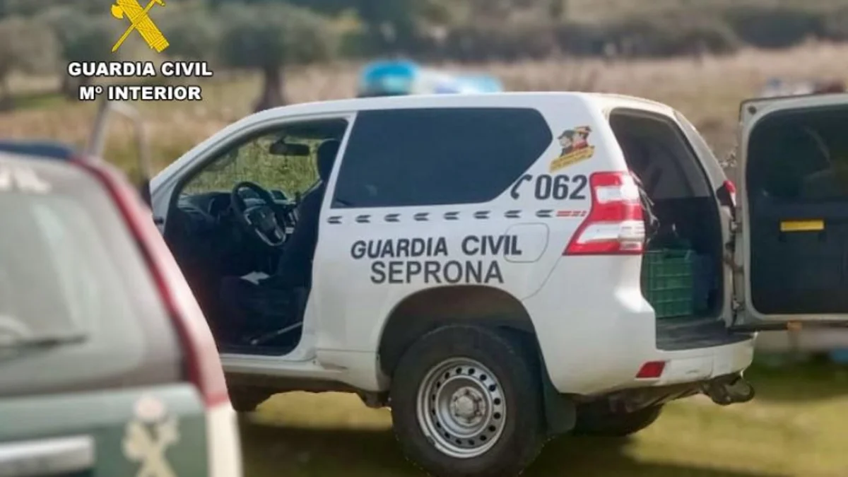 Una denuncia por violencia machista destapa la muerte a golpes de ...
