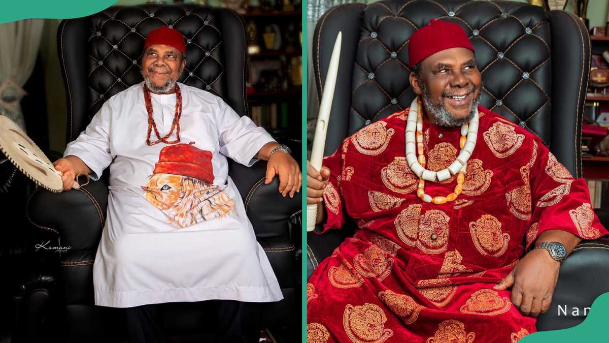 I spend N40k daily: Pete Edochie laments high cost of electricity in ...