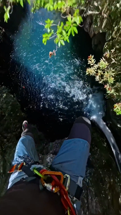 When tree climbing is definitely not your thing