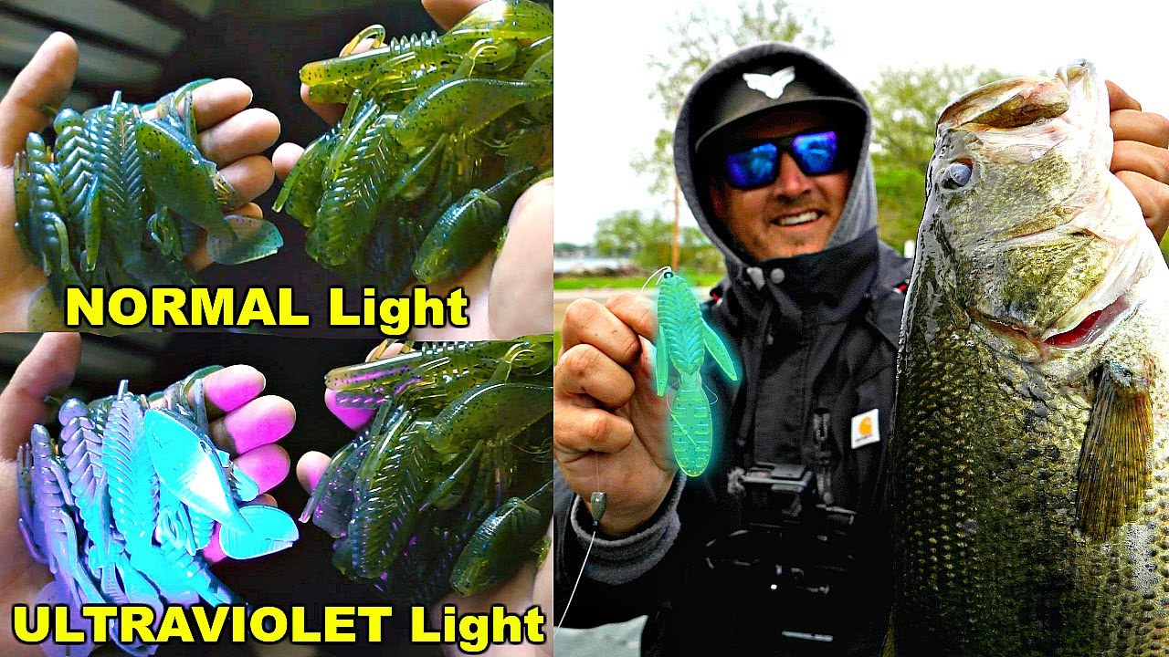 UV fishing lures tested and produce surprising bass results