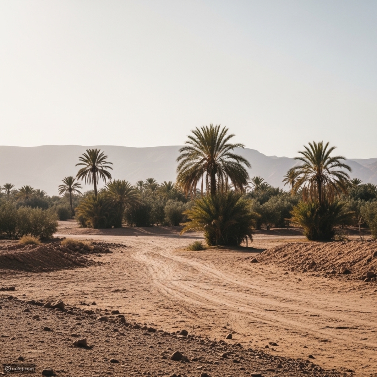 10 days in Morocco: Which cities are actually worth your time and which ...
