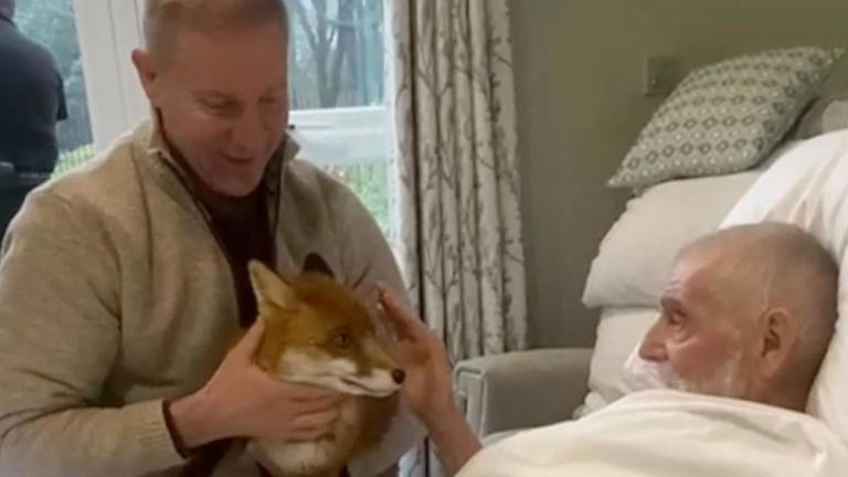 'A visit from a fox was my dad's dying wish'
