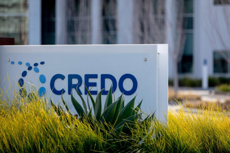 Why is Credo Technology stock soaring Tuesday?