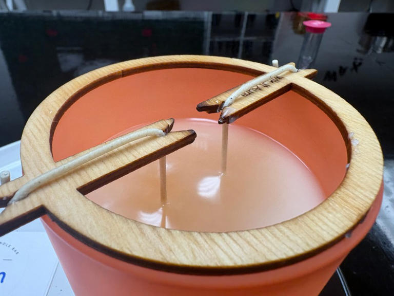 Light up your Valentine’s Day with Wixporium