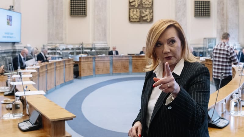 Schillerová slibuje: Do důchodu půjdete s milionem navíc. Zmínila tři ...