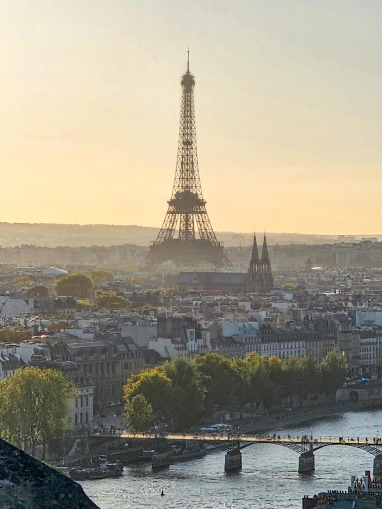 This gothic tower has one of the best views in Paris — and everyone ...