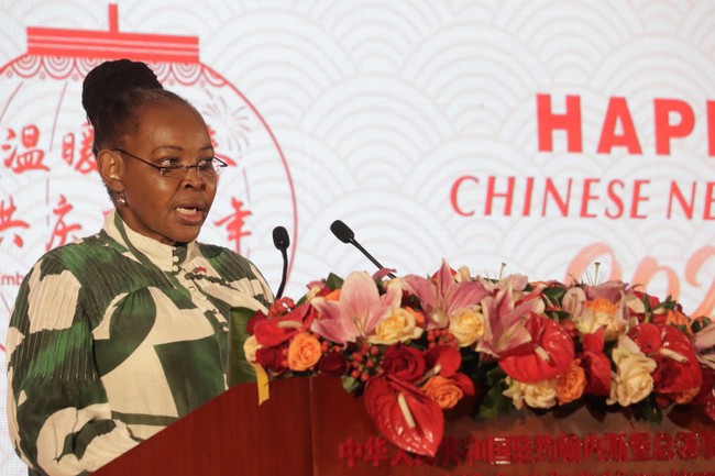 Year of the horse: China highlights growing ties with South Africa at ...