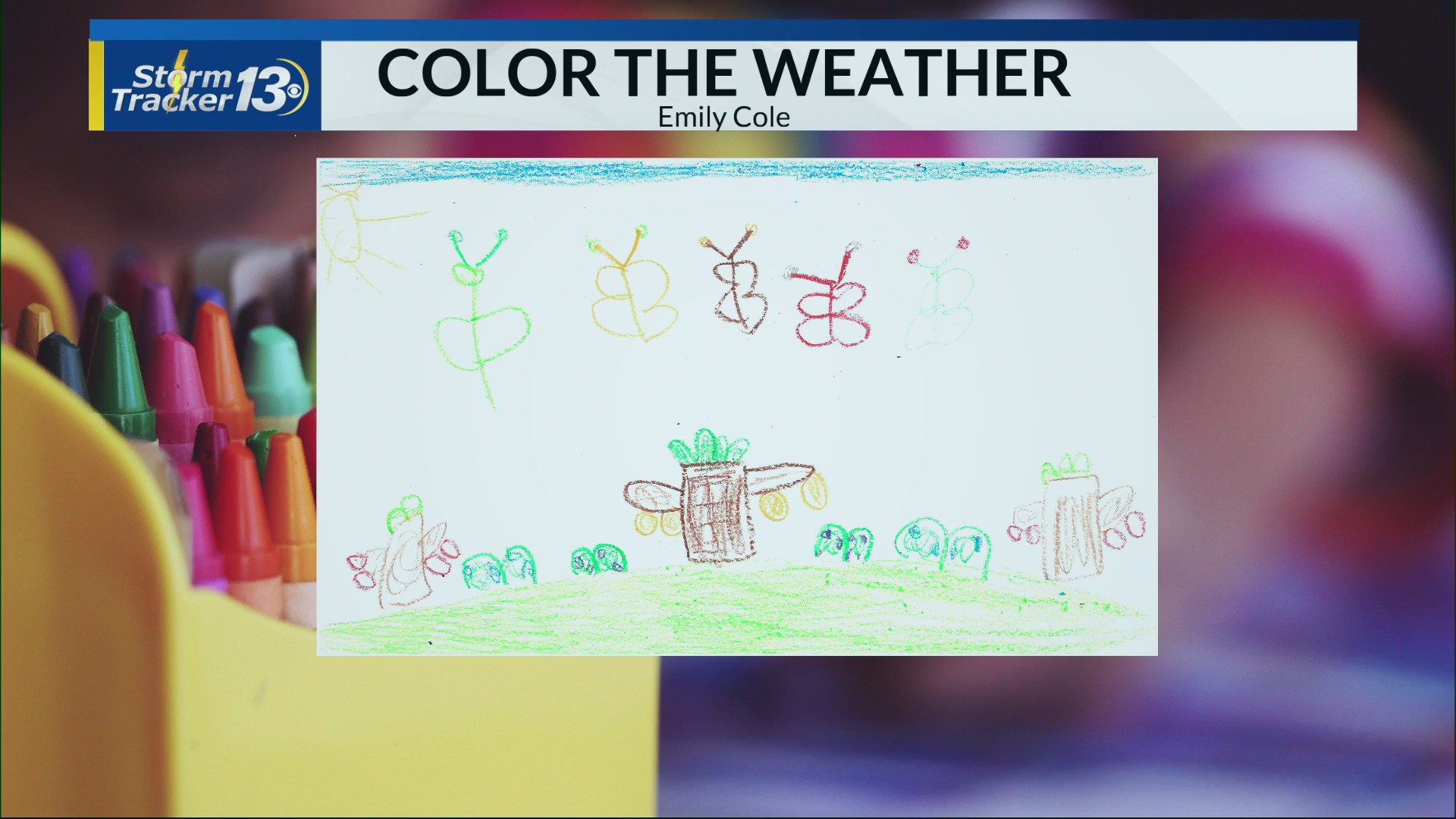 Color the weather: Emily Cole
