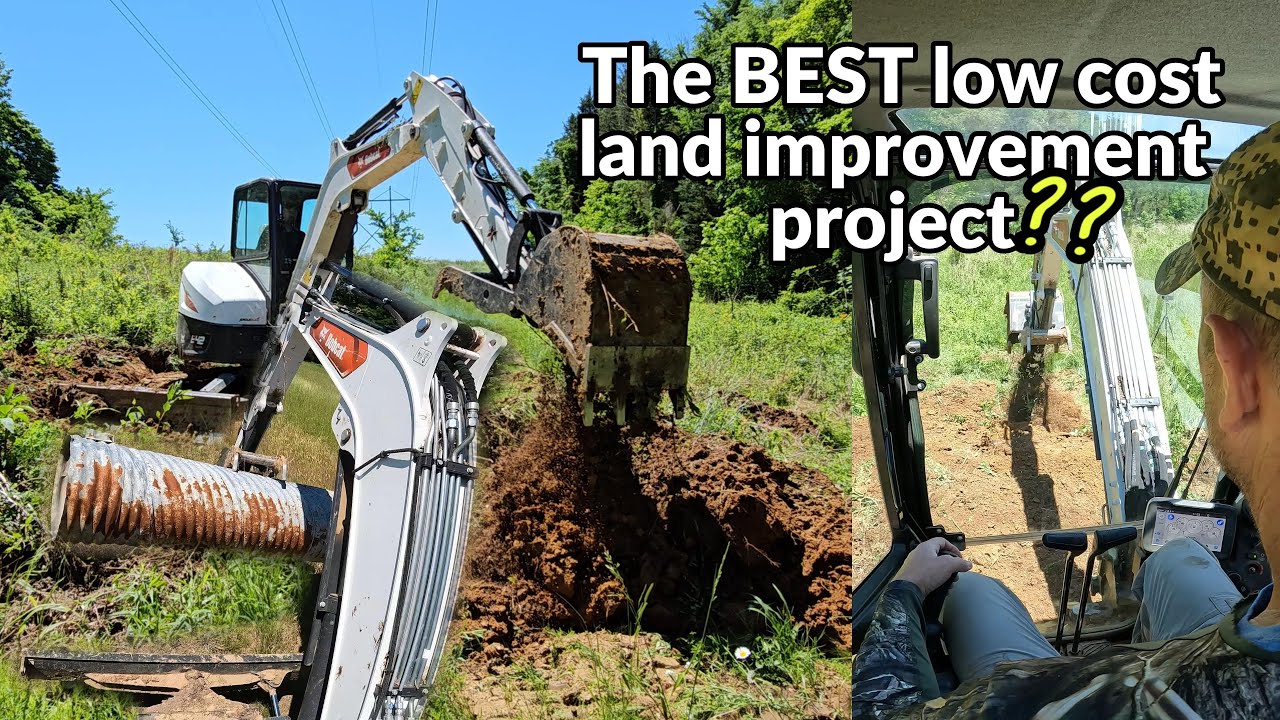 The best land improvement project you can do on a budget