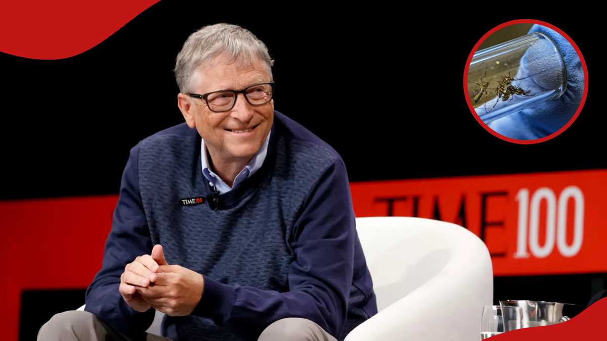 Gene drive technology: Inside Bill Gates sponsored science behind ...