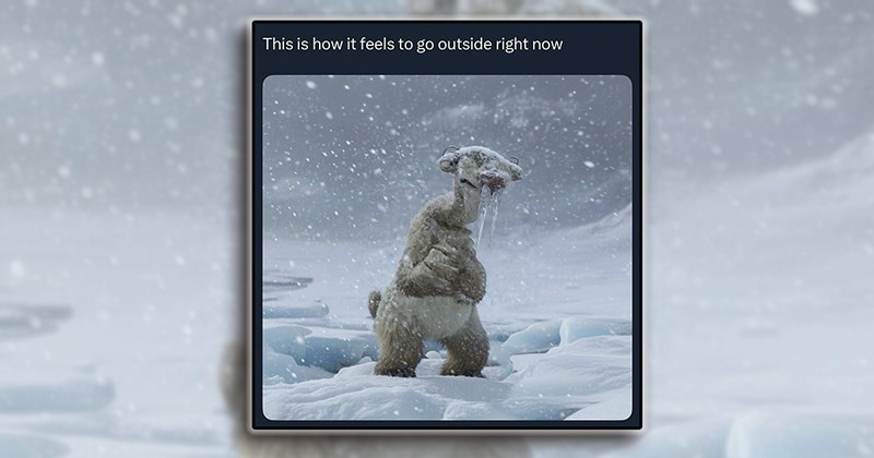 A snowball full of funny memes to survive this freezing cold winter weather