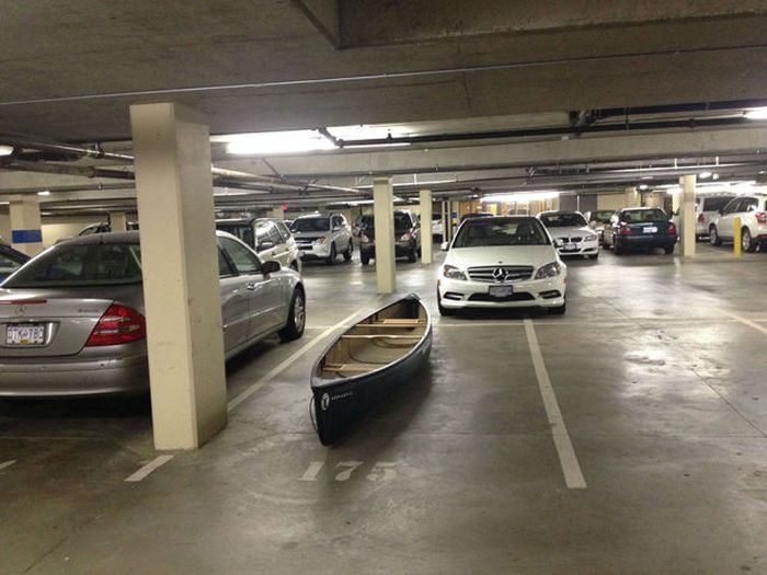 Photos Where People Skipped the Common Sense Reading
