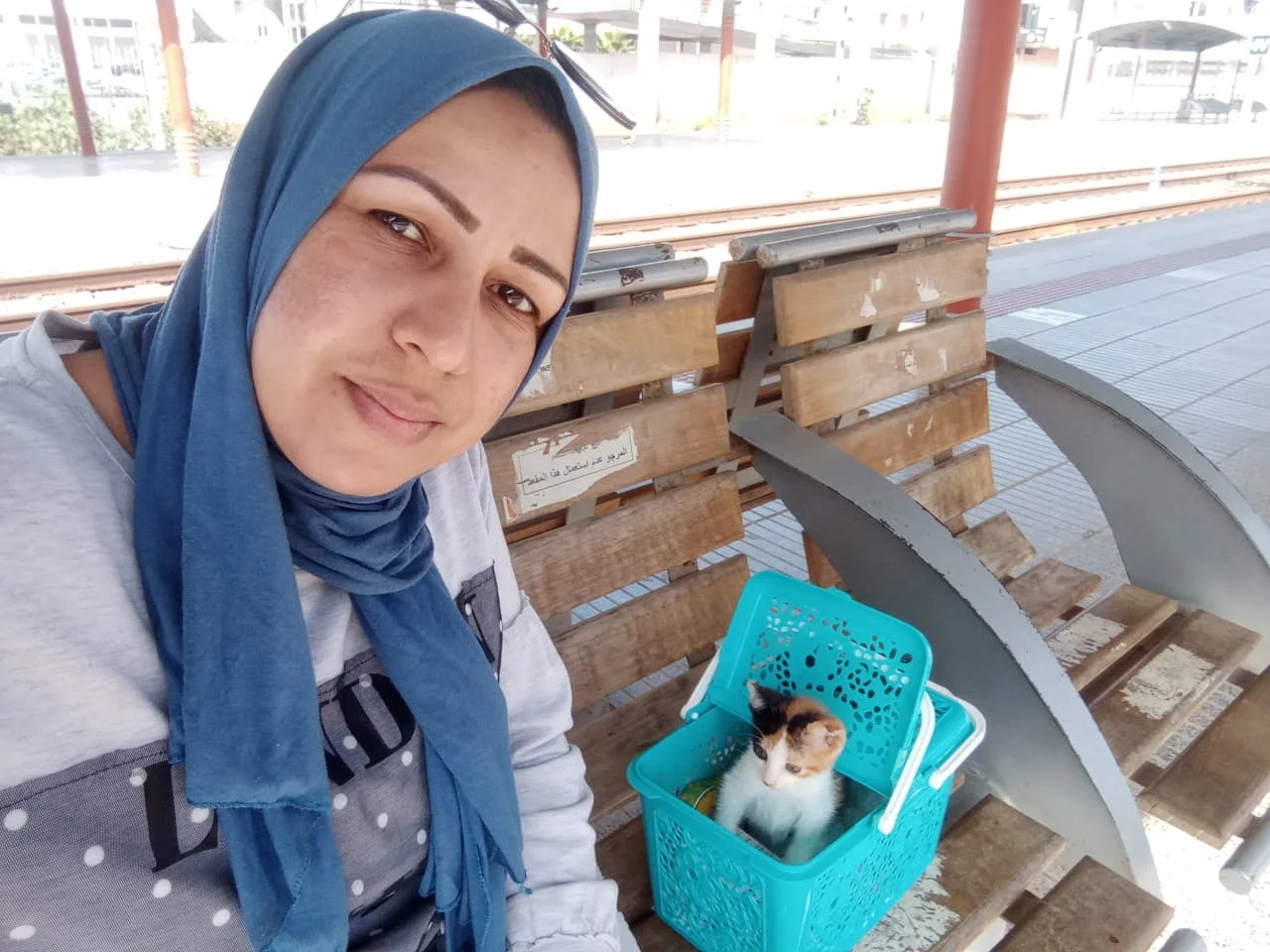 From nurse to caregiver of 70 cats: One woman’s quiet rescue mission