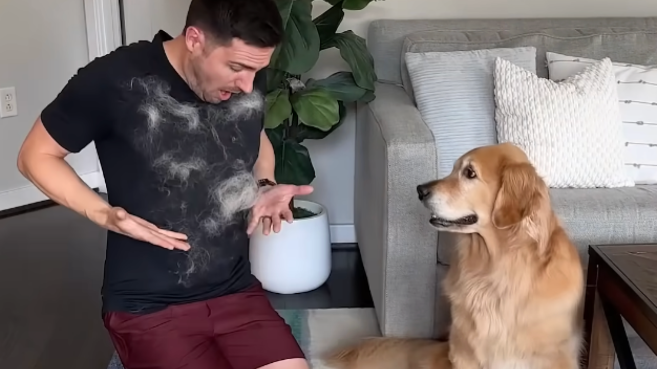 Signs your dog truly loves you