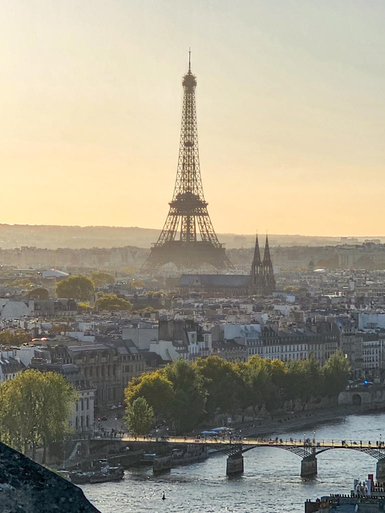 This gothic tower has one of the best views in Paris — and everyone ...