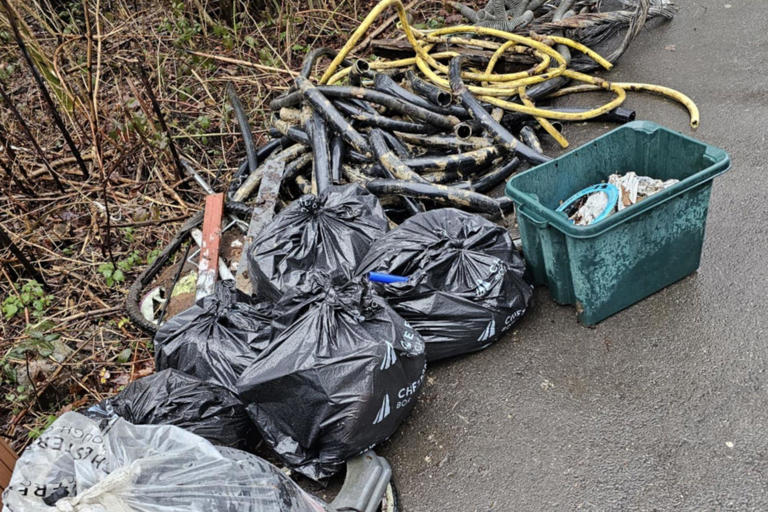 In pictures: Determined volunteers brave pouring rain to clean ...