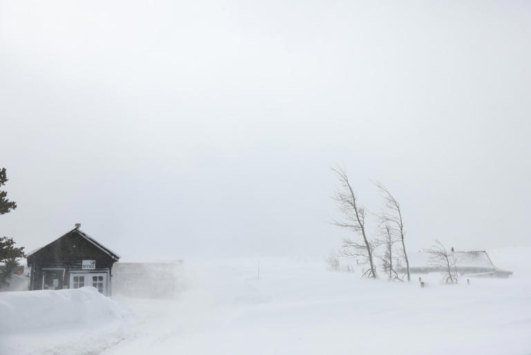 Winter storm watch issued as heavy snow, 60 mph winds cause 'blizzard ...