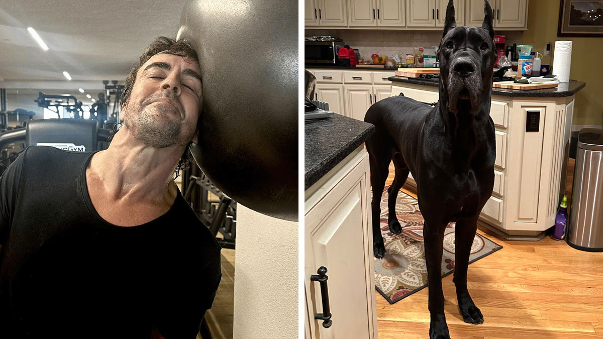 Absolute units: 79 times people came across unbelievably big things and ...