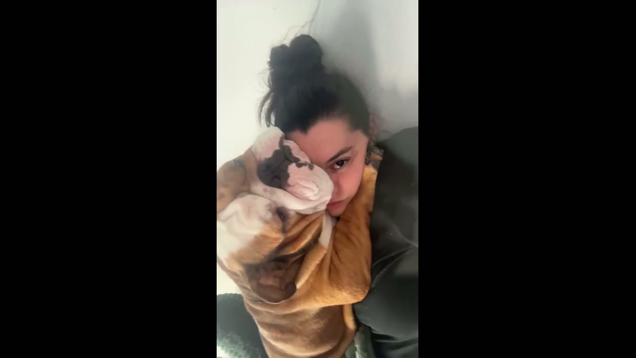 Heartwarming hug from English bulldog in Miami, Florida, USA