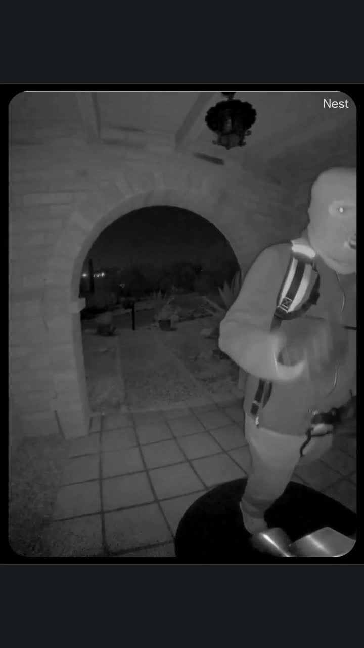 NEST footage no. 2 of Nancy Guthrie missing person suspect
