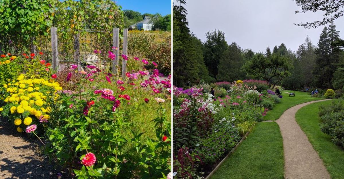 These are secret spots for garden lovers in Maine to explore