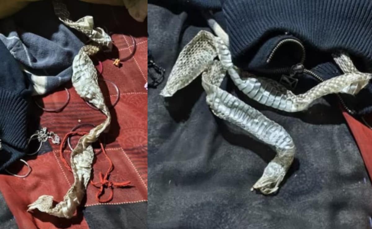 UP woman missing, family finds 5-foot 'snake skin' on bed