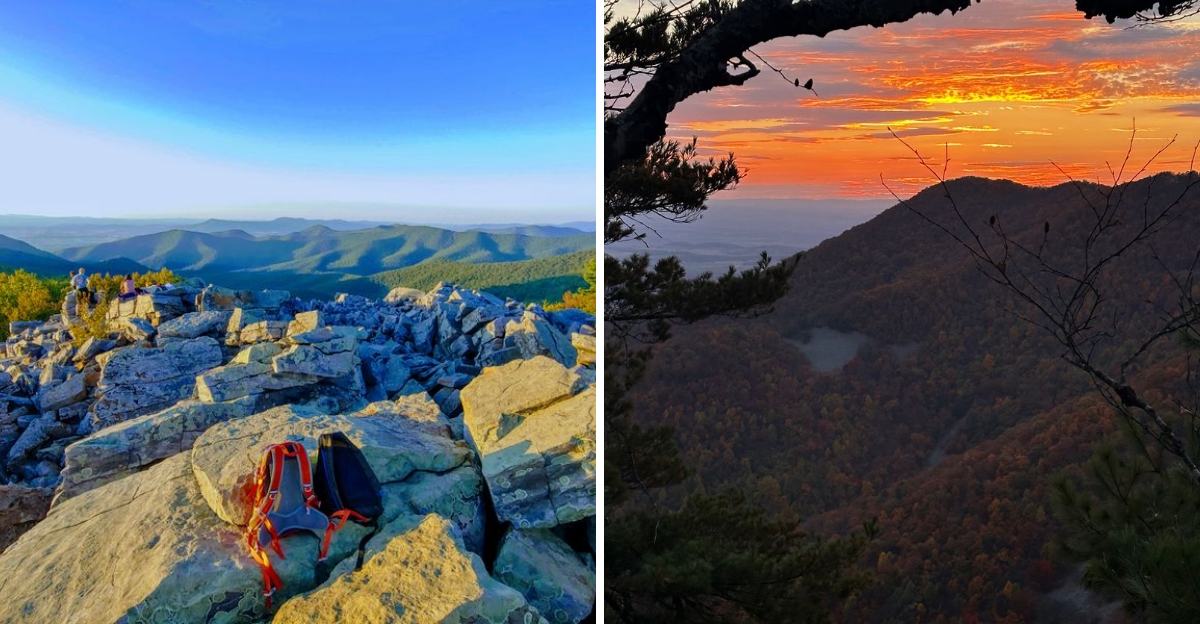 This easy 1-mile hike in Virginia is so picturesque, you’ll be dreaming ...