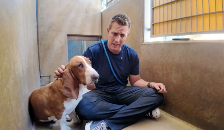 Shelter basset hound gets second chance despite medical mystery and ...