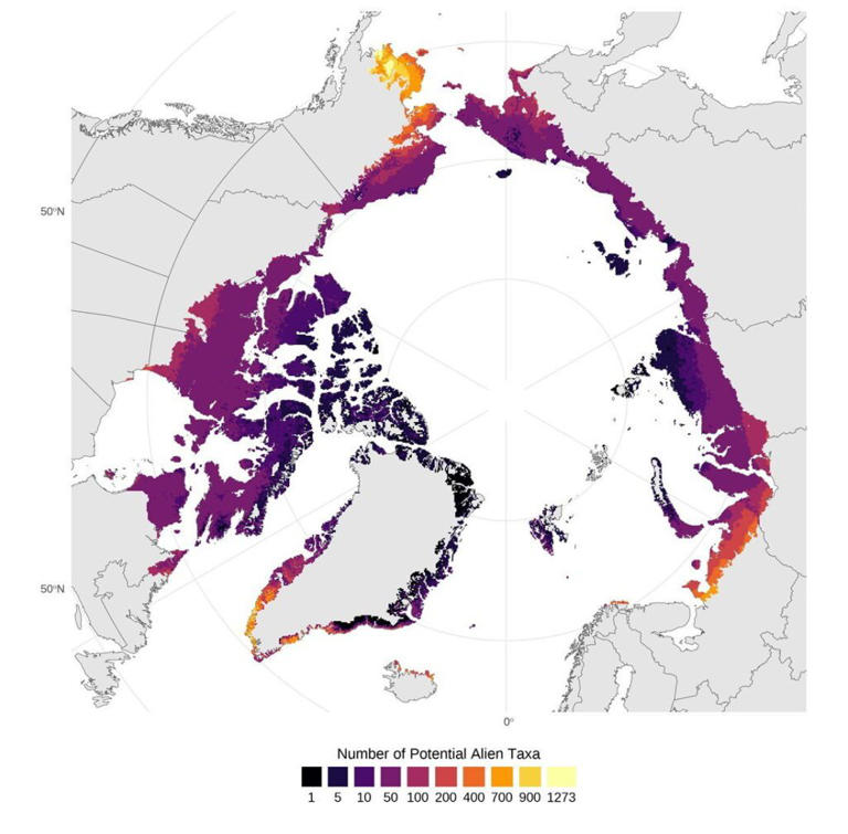 Thousands of alien species could invade the Arctic, warns study