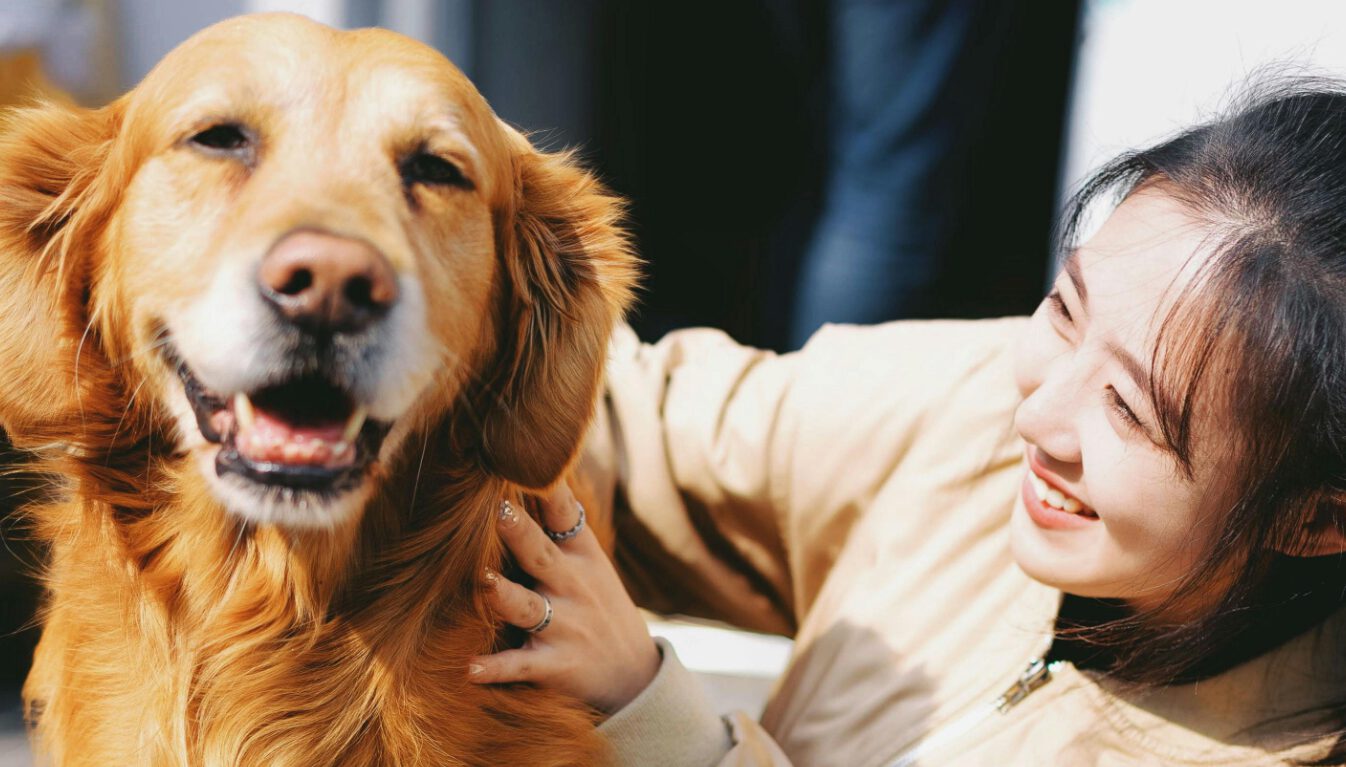 Ring's Super Bowl ad turned lost puppies into a privacy nightmare