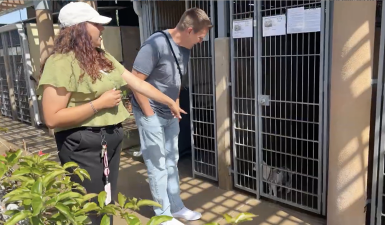 Shelter basset hound gets second chance despite medical mystery and ...