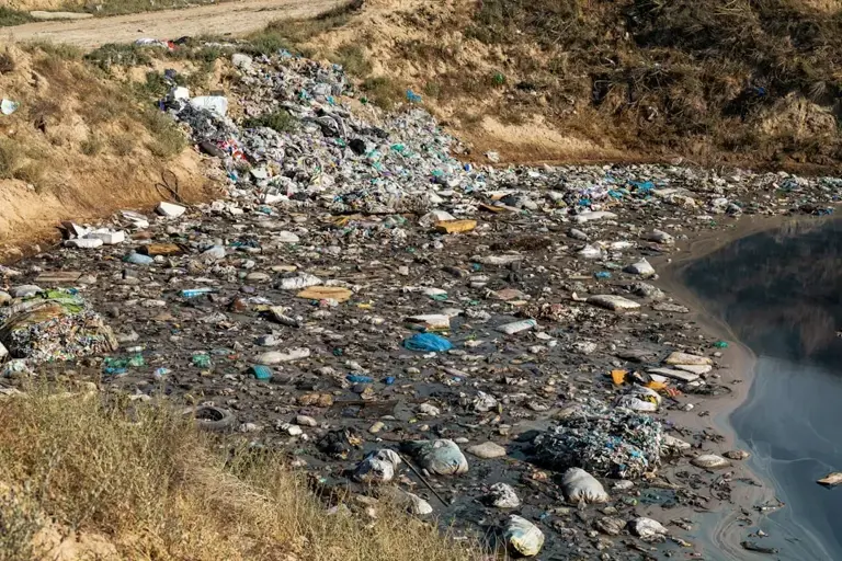 5 household items you're recycling wrong - and why it actually makes ...