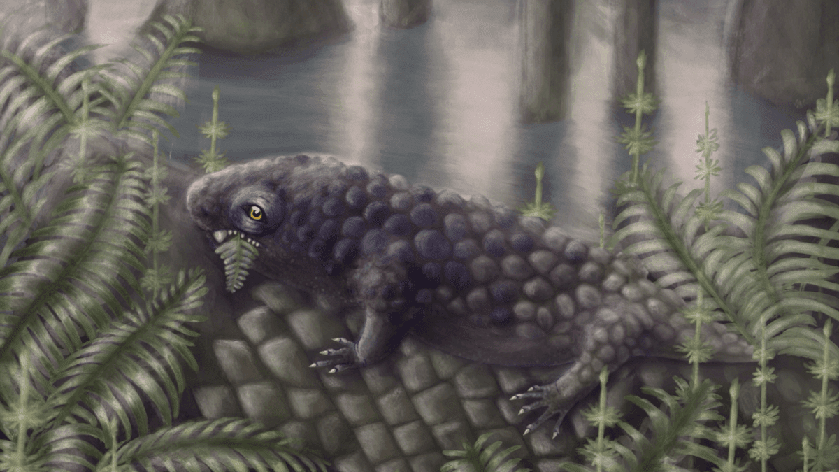 This 307-million-year-old “tyrant digger” is one of the oldest known ...
