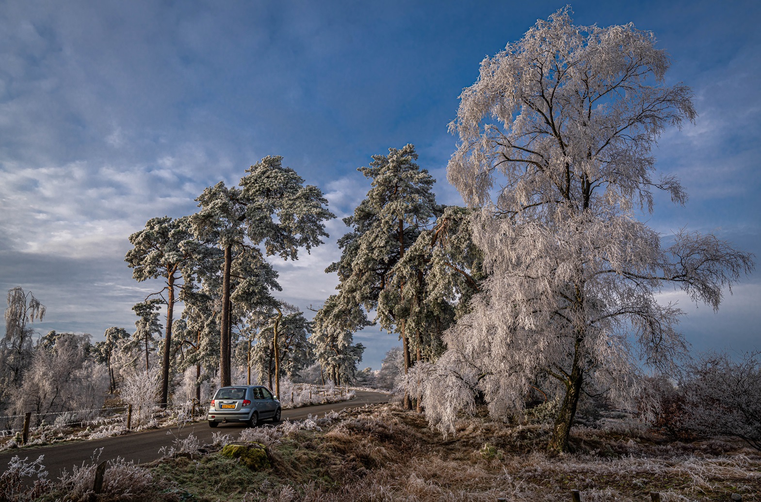 De leukste buitenactiviteiten bij mooi winterweer in Nederland