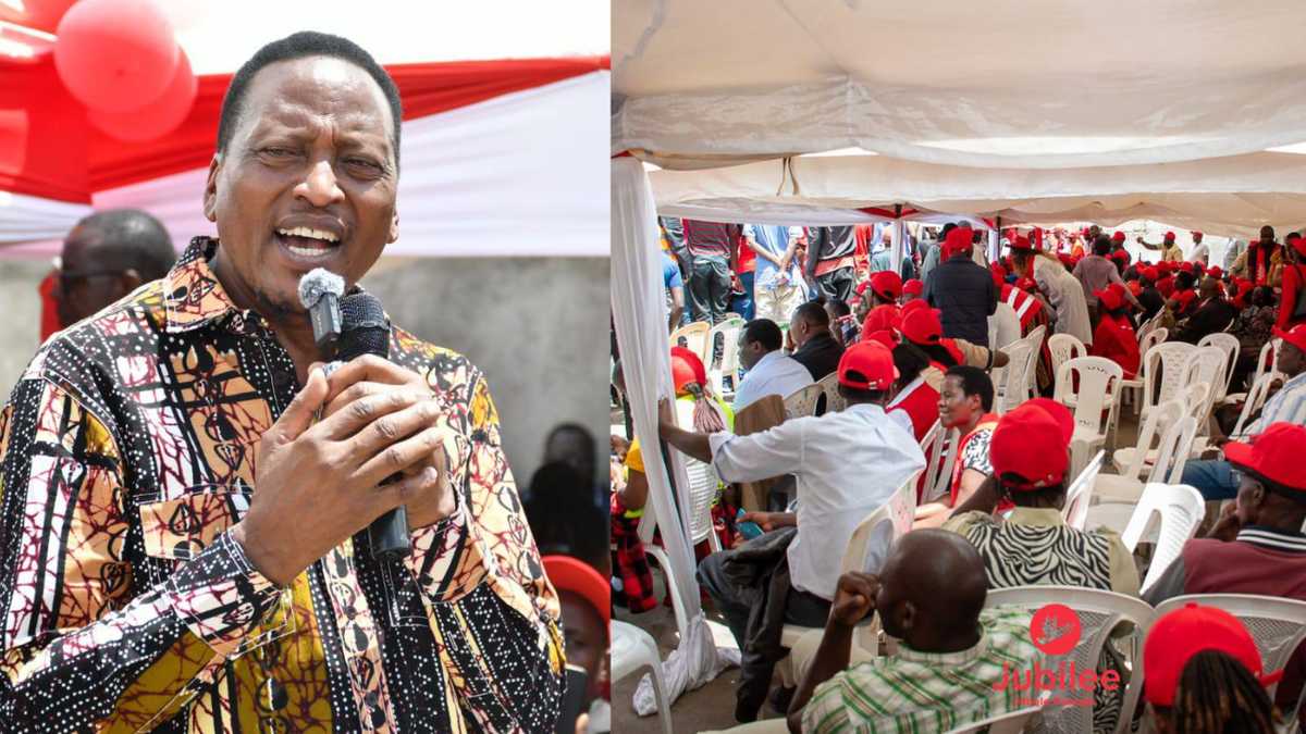 Video: Scare as snake disrupts Senator Onyonka while rebuking Ruto