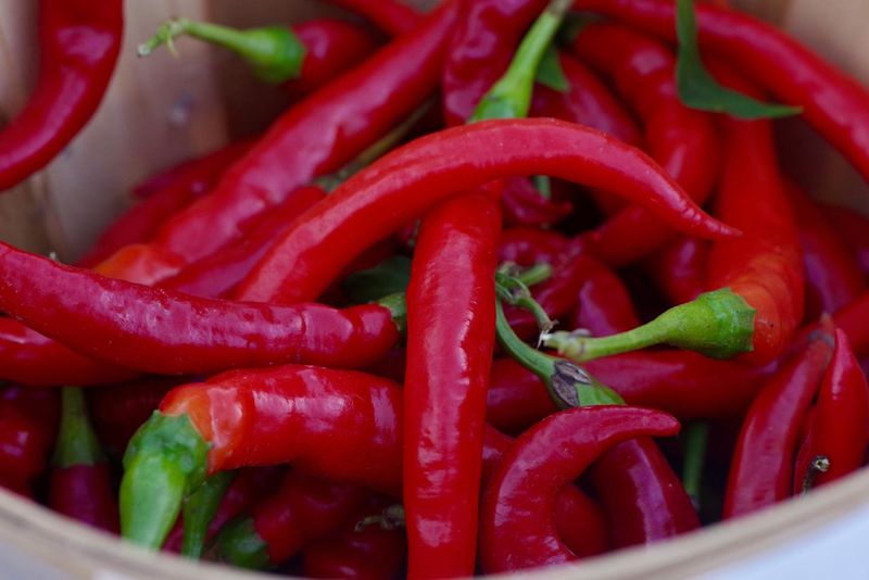 7 foods animals avoid that humans still eat