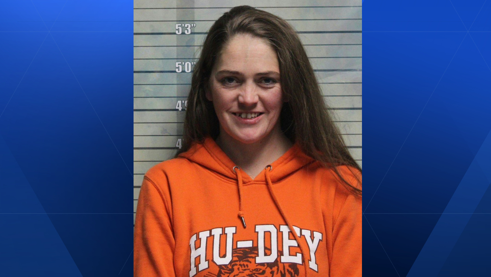 Court docs: Woman charged with OVI, accused of being three times legal ...