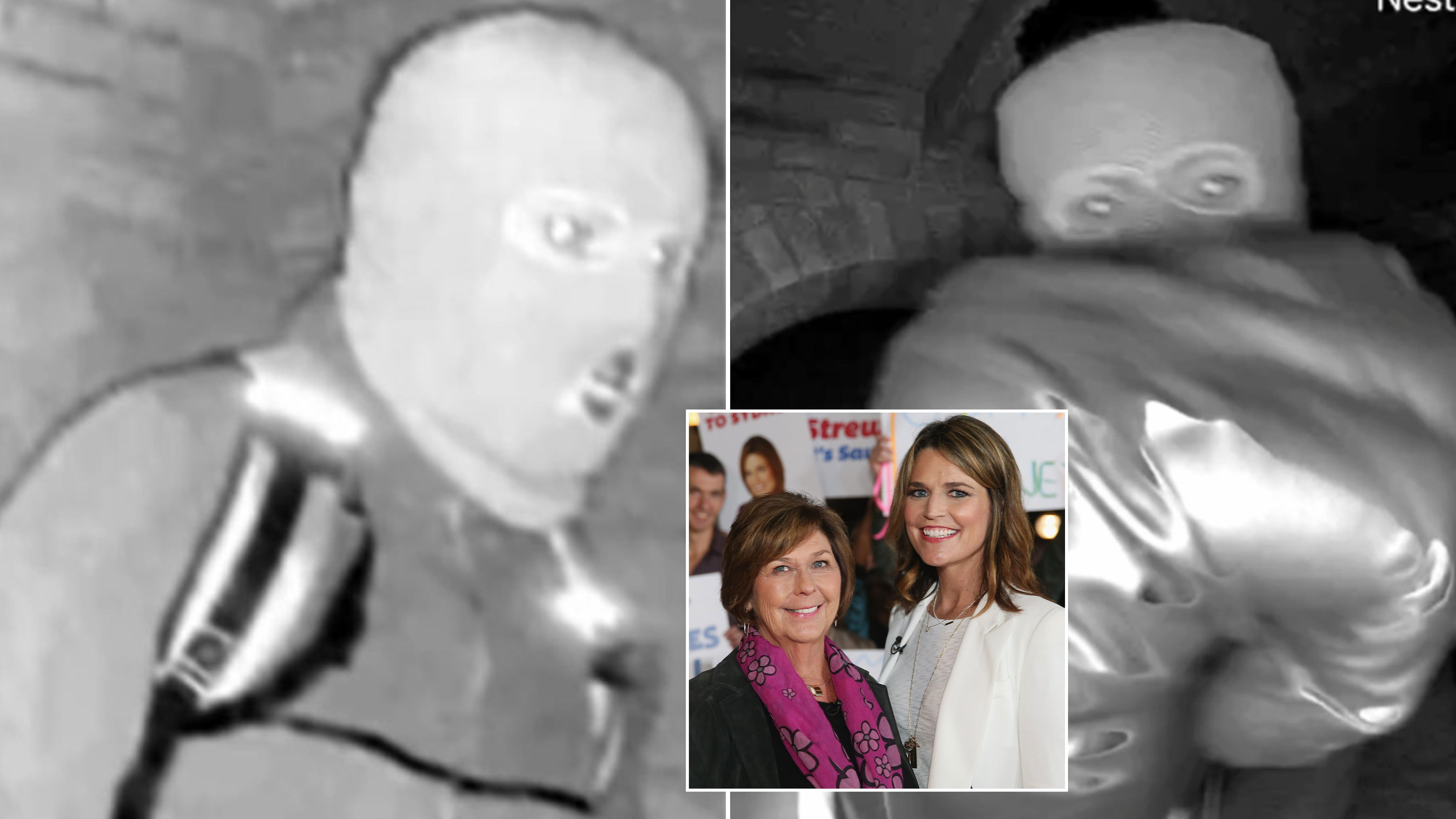 Nancy Guthrie surveillance video gives new clues in probe