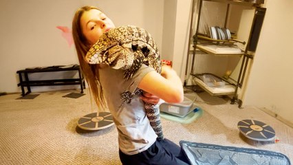 Girl and lizard have adorable after-school routine