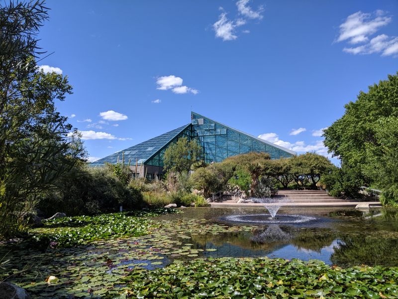 These are the underrated botanical havens in New Mexico