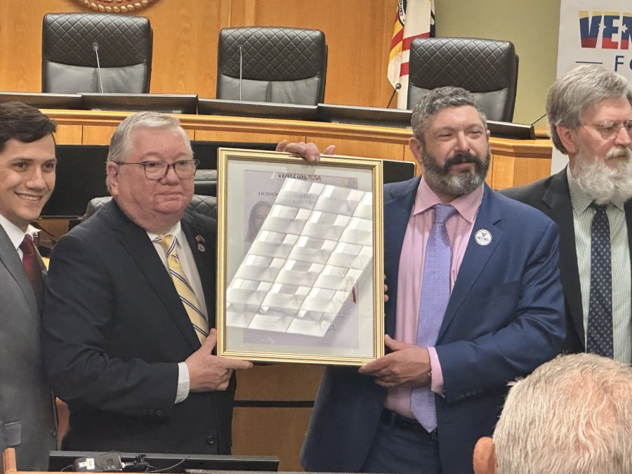 Tampa-based Grey Bull Rescue recognized for dangerous work