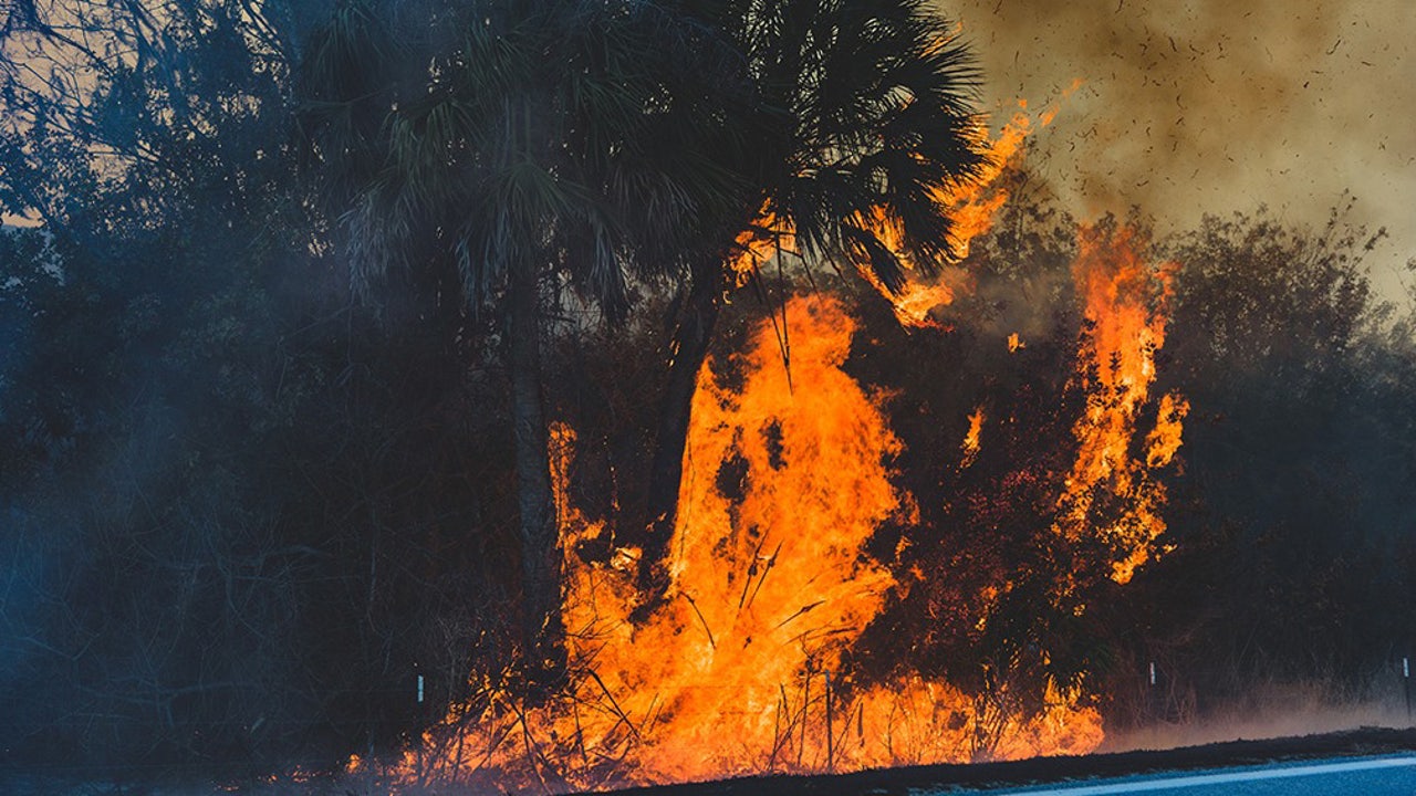 Bartow fire that burned nearly 200 acres, closed portion of Highway 640 ...