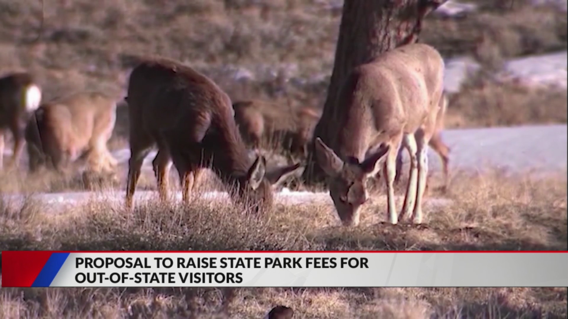 Proposal under consideration to raise Colorado state park fees for out ...