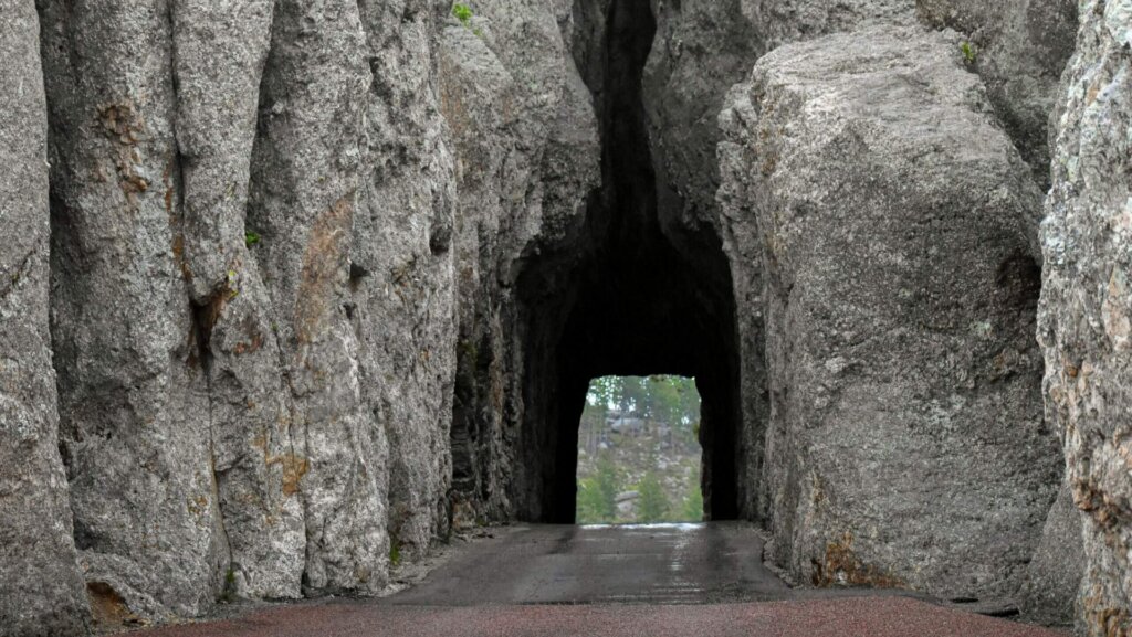 These 2-million-year-old tunnels span two continents: No one knows who ...