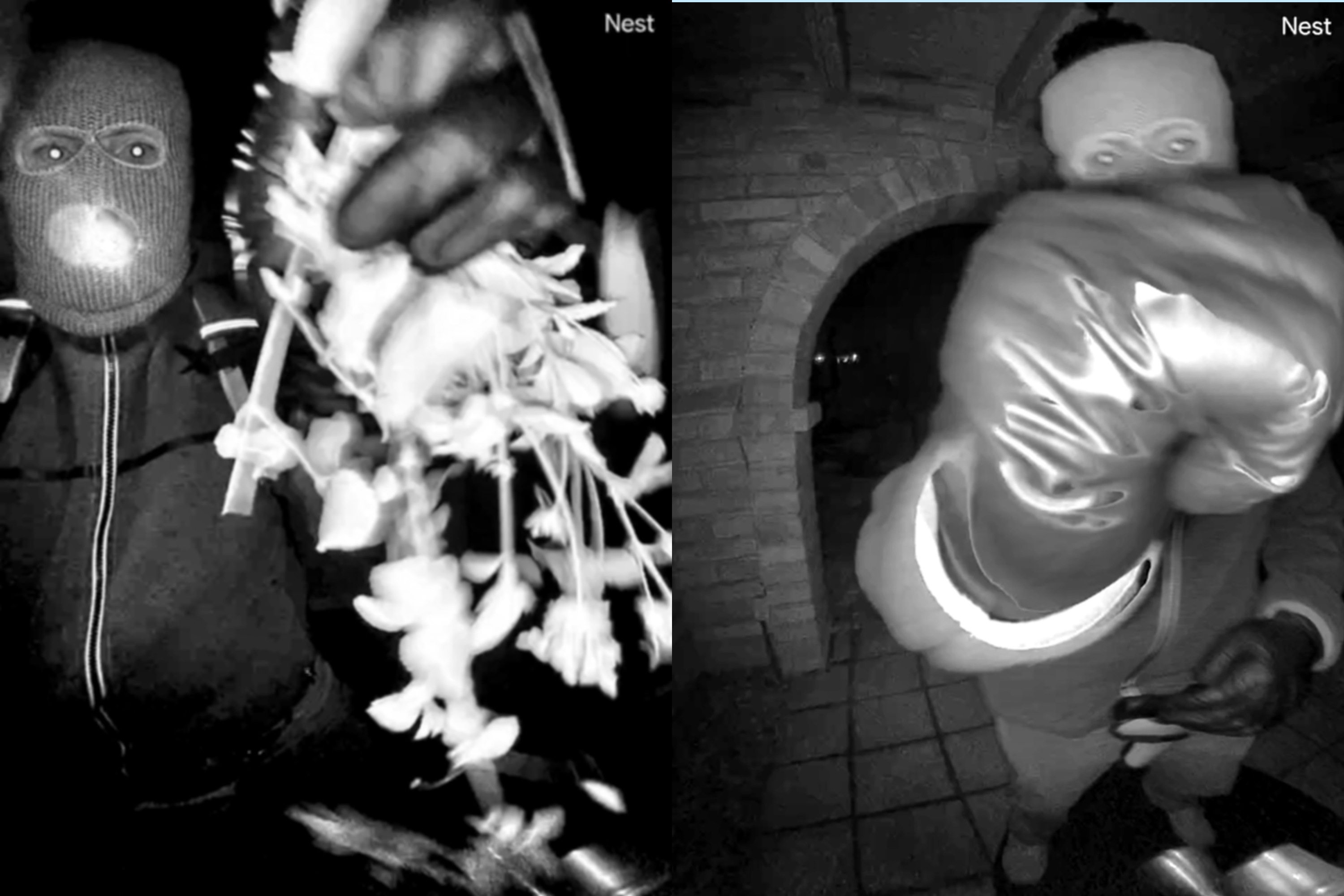 New video shows masked person at Nancy Guthrie's door night she disappeared